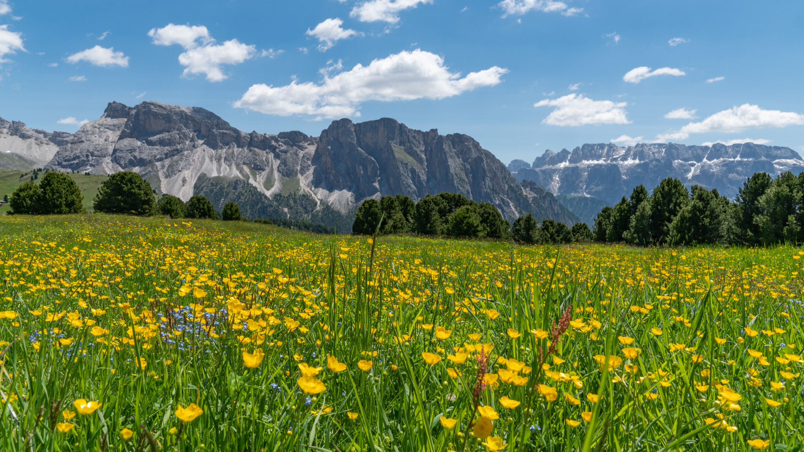 Italian Spring: weather Tips and Must-Do experiences